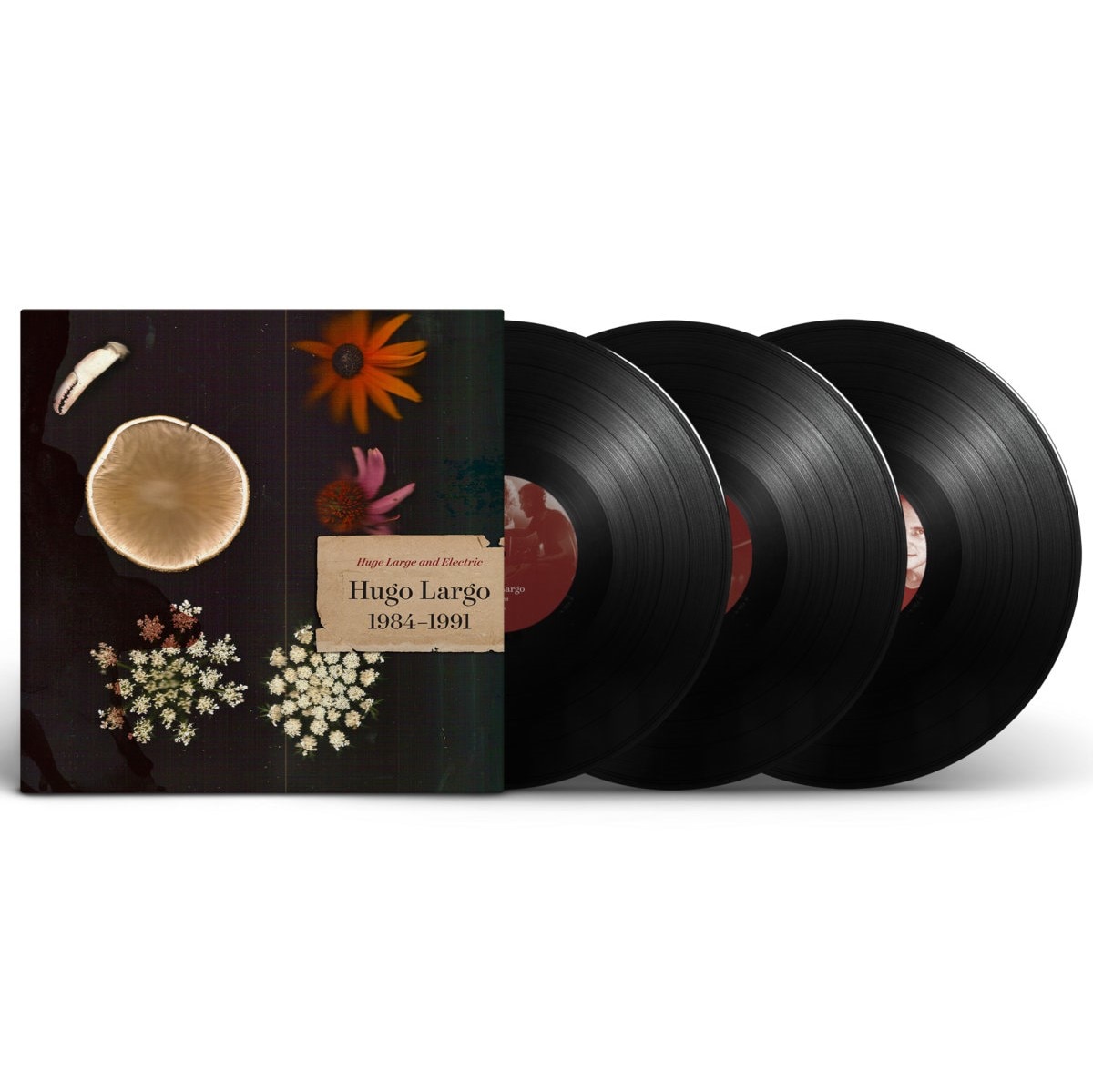 Huge, Large and Electric: Hugo Largo 1984-1991 (3 LP-Vinilo) · MISSING ...