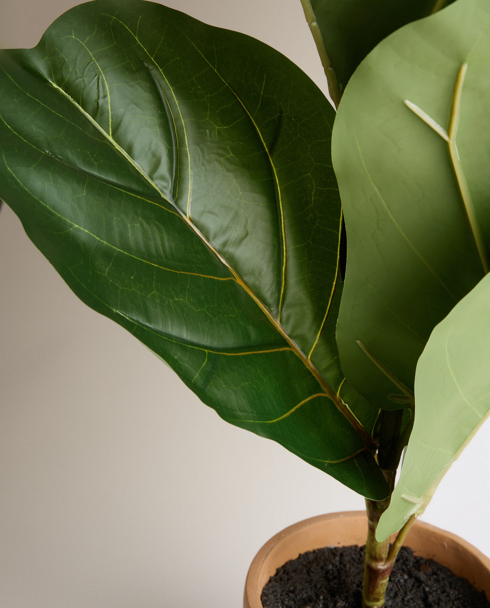 Planta artificial Higuera con maceta · El Corte Inglés · El Corte Inglés