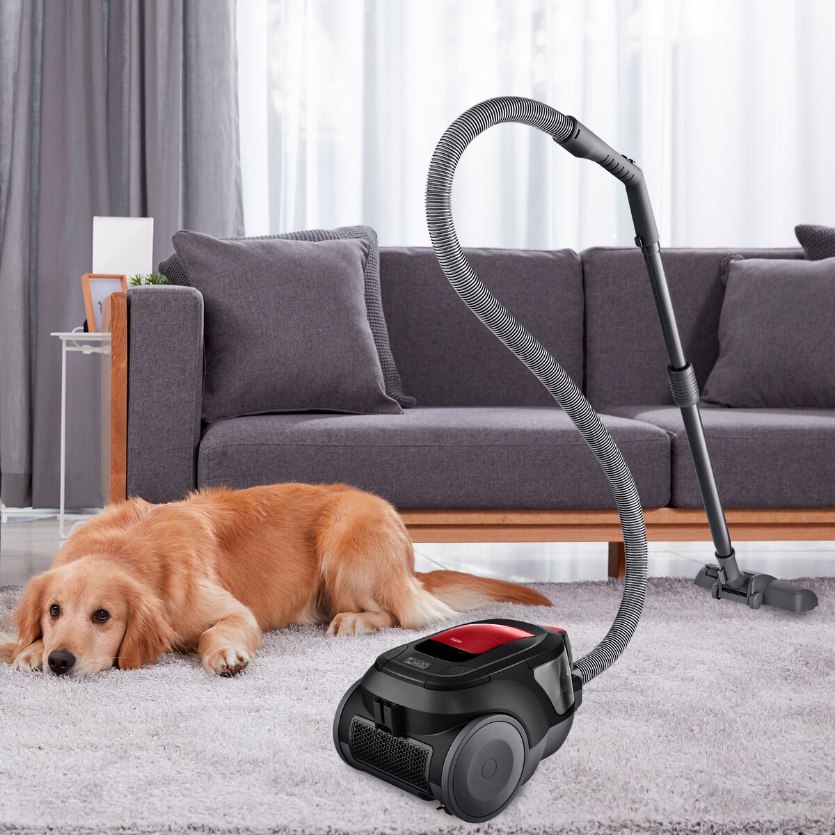 Aspirador sin bolsa LG VCC5506NHTCR, 650 W, con sistema Elipse ...