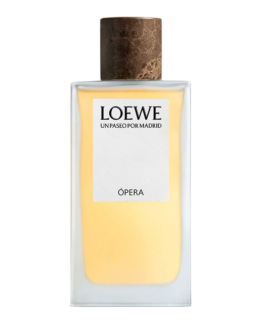 Todo sobre la colección Un Paseo por Madrid de Loewe