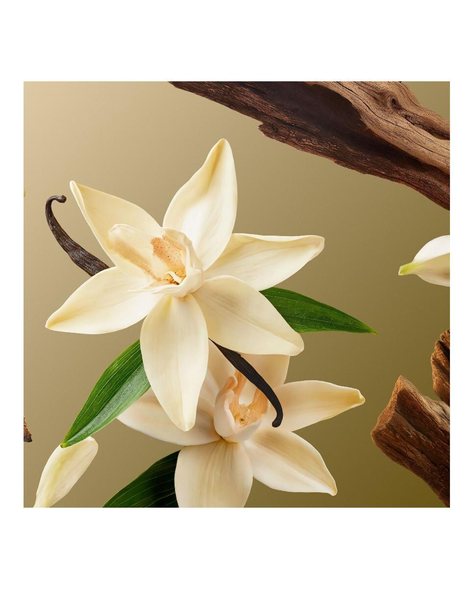 Vela Aromática Intuitia 290 g Rituals · Rituals · El Corte Inglés