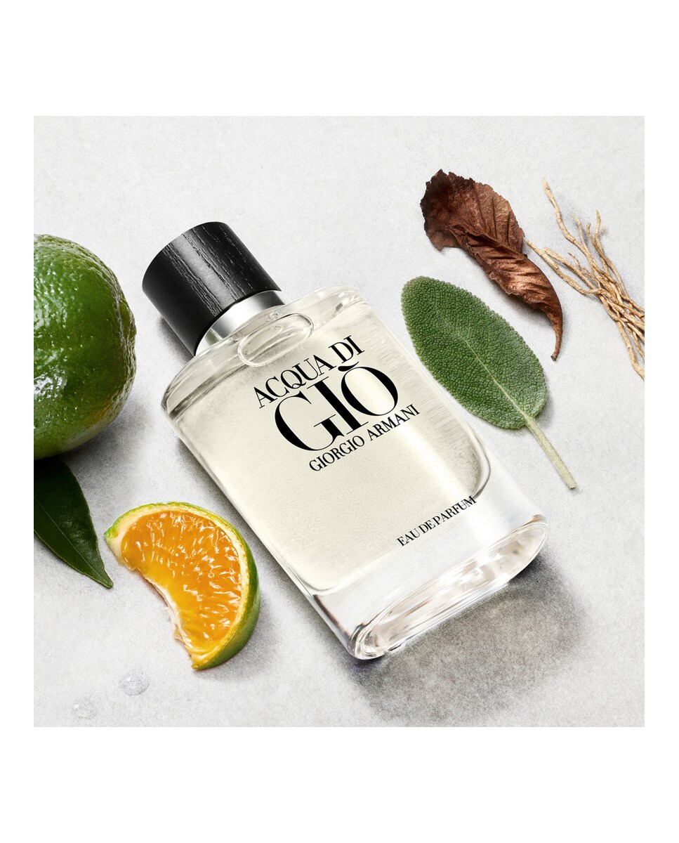 Recarga Eau de Parfum Acqua Di Gio Homme 150 ml Giorgio Armani ...