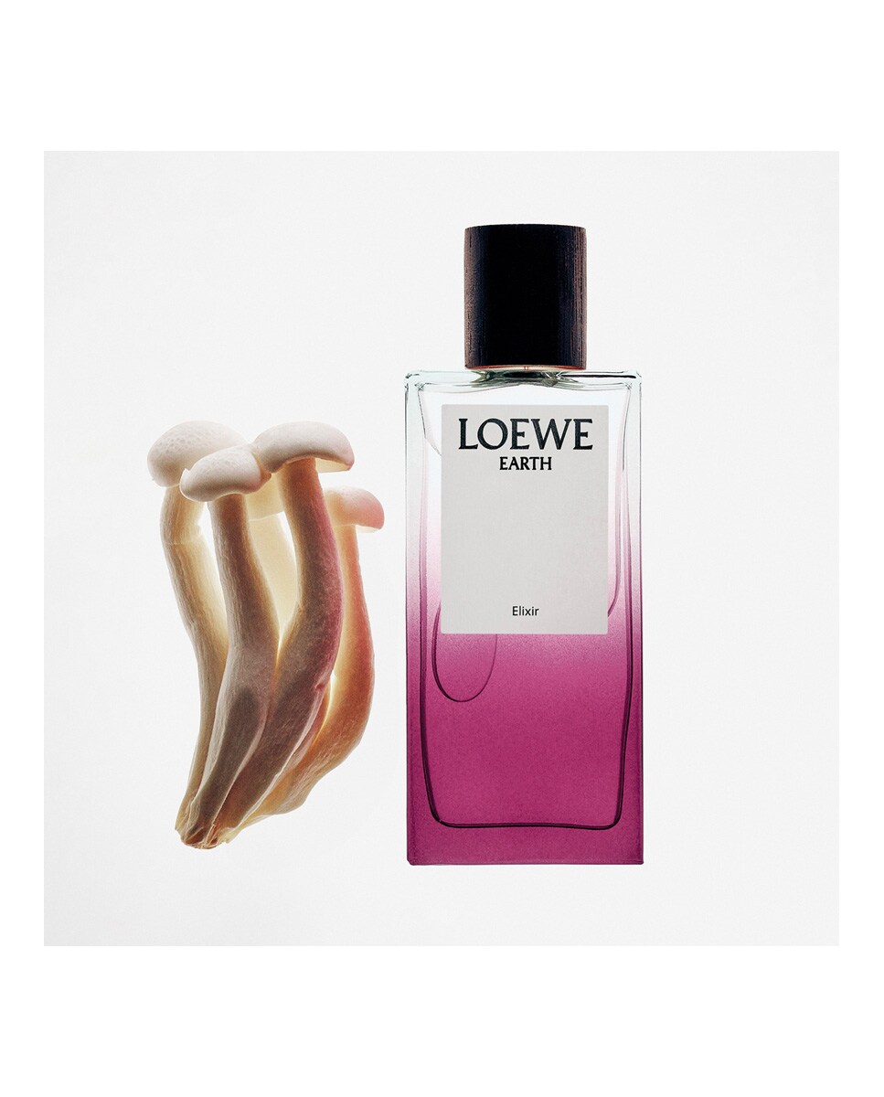Eau de Parfum Earth Elixir Loewe · LOEWE · El Corte Inglés