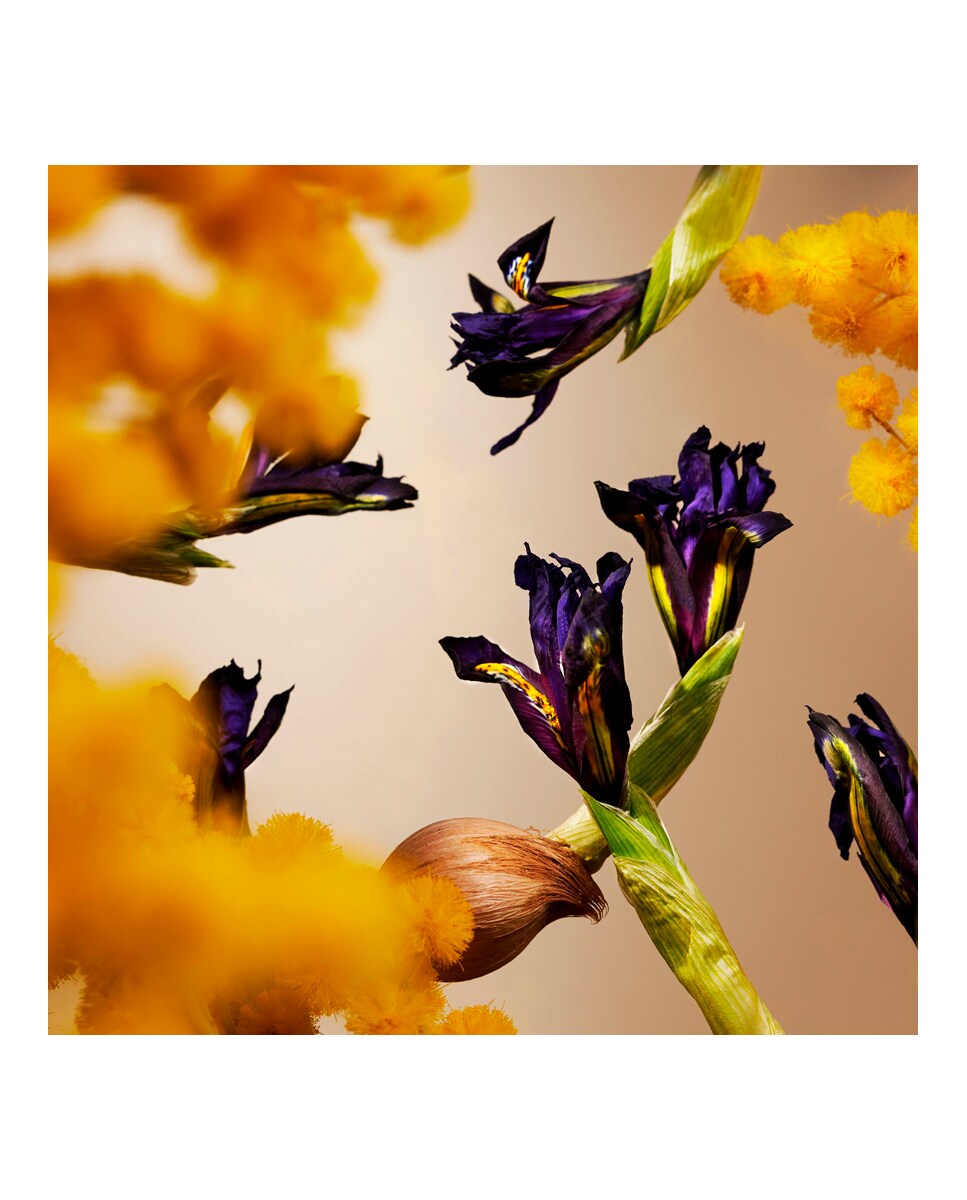 Palitos de Fragancia Orris Mimosa Refill Fragrance Sticks 900 ml ...