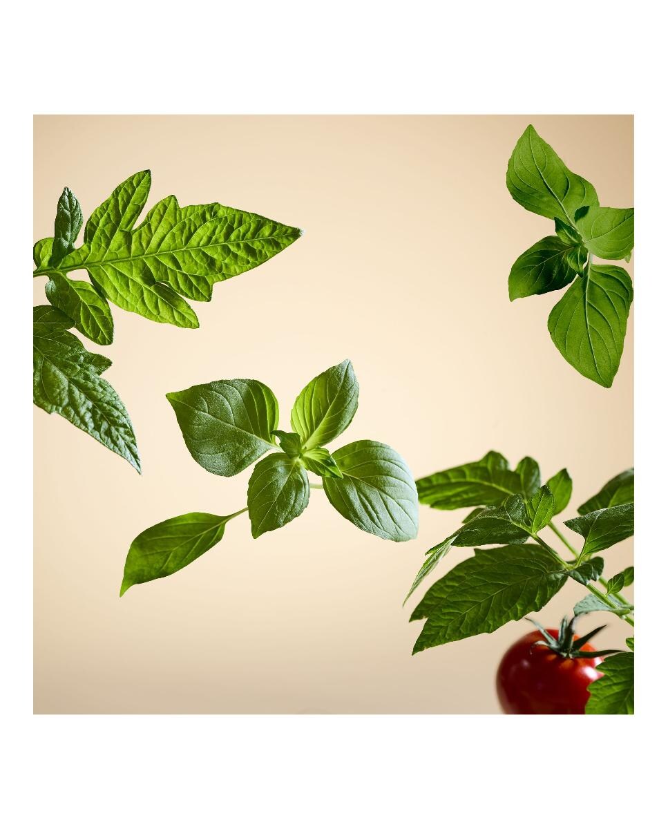 Perfume Para El Hogar White Basil 200 ml Rituals · Rituals · El Corte ...