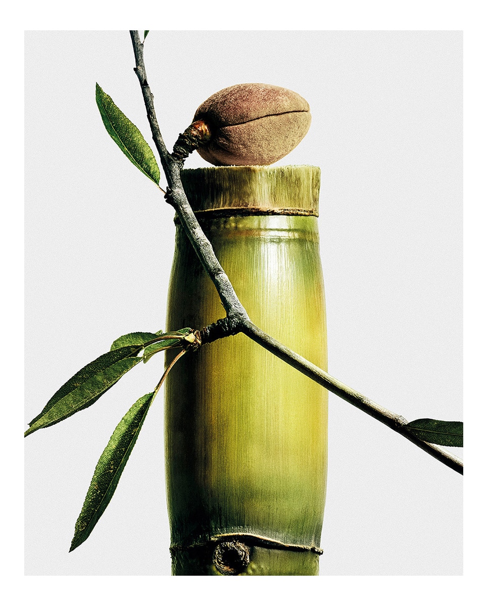 Vela Perfumada Sweet Almond Midi Loewe · El Corte Inglés