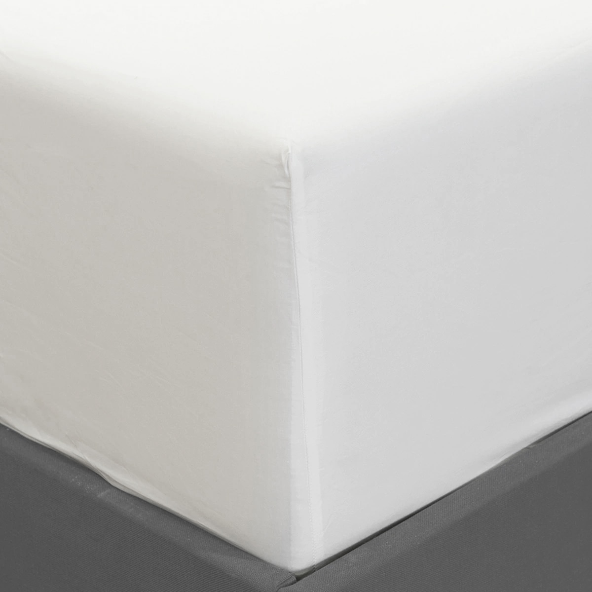 Sábana bajera ajustable algodón egipcio 200 hilos Tacto Bassols Blanco ...