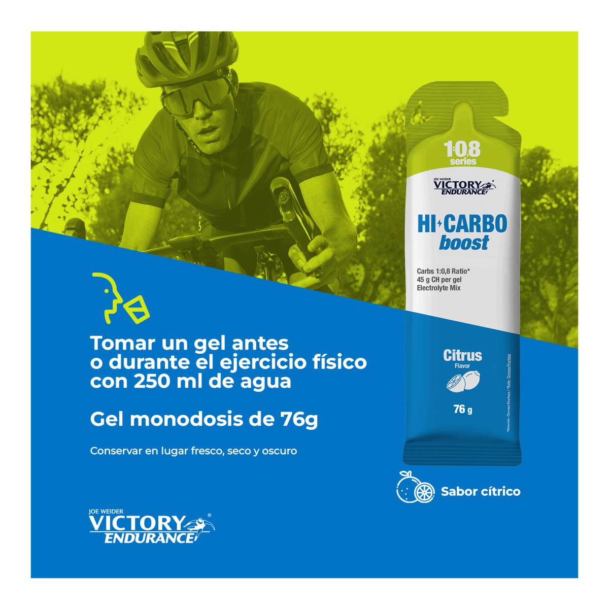Gel com elevado teor de hidratos de carbono na proporção de 1:0,8, HI ...