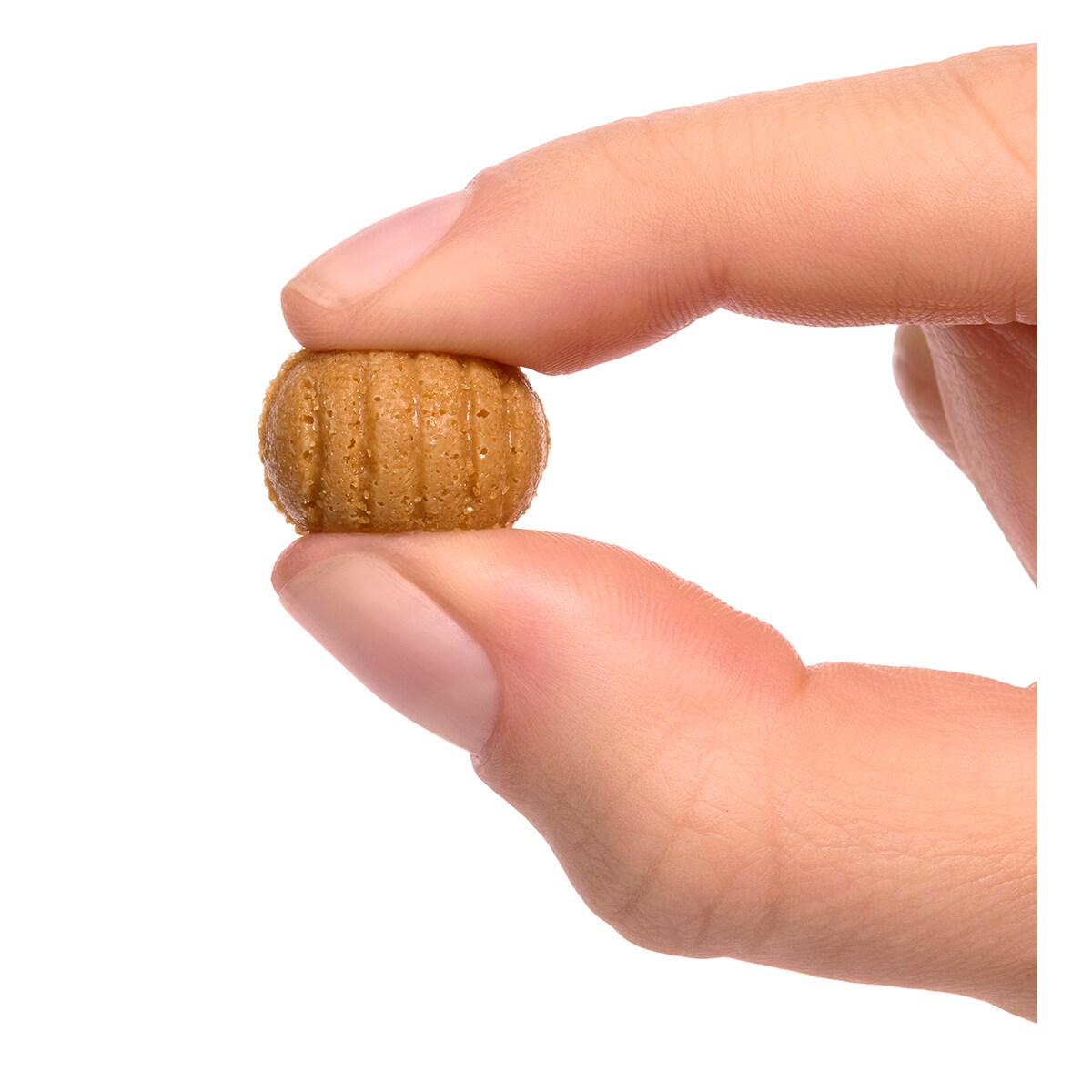 Miniverse Make It Mini From Scratch Serie 2 Miniverse · MINIVERSE · El ...