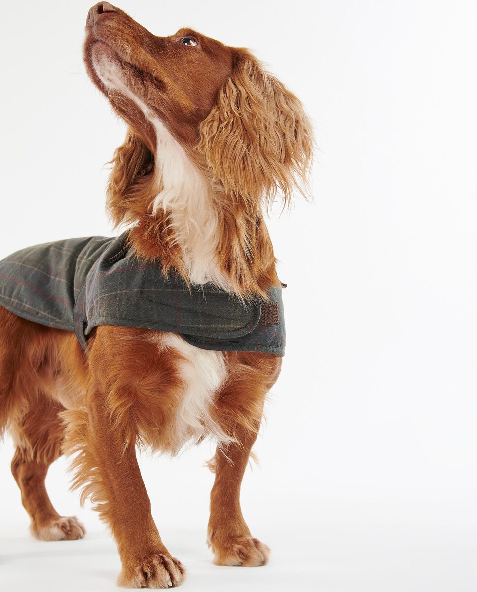Abrigo Barbour Tartan Wax Dog Coat · Barbour · El Corte Inglés