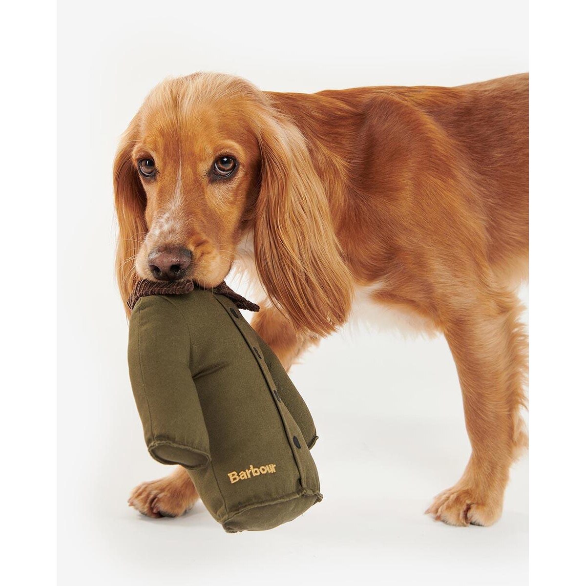 Peluche Barbour Jacket Dog Toy · Barbour · El Corte Inglés