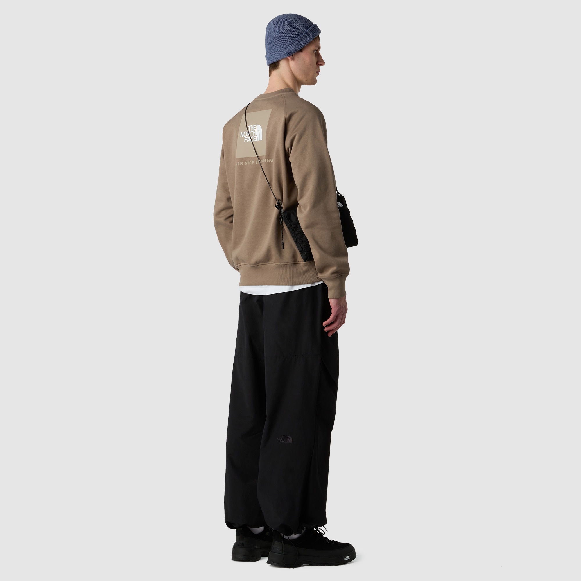 Sudadera con manga raglán NSE de hombre Box The North Face Beige · El ...