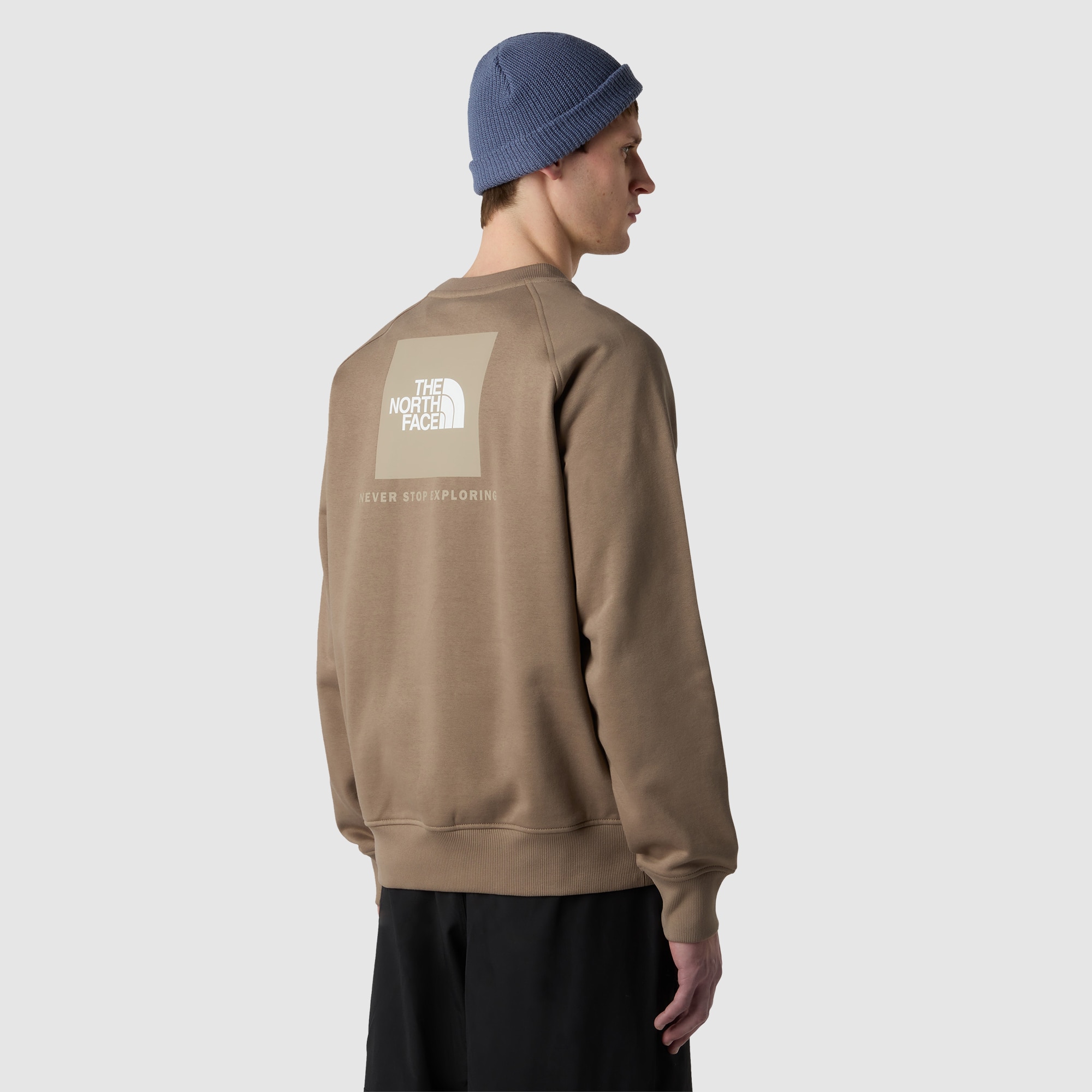 Sudadera con manga raglán NSE de hombre Box The North Face Beige · El ...