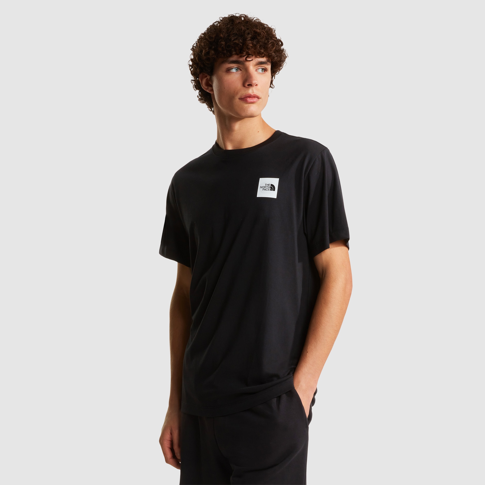 Camiseta recta para hombre Box Half Dome Evolution The North Face Negro ...