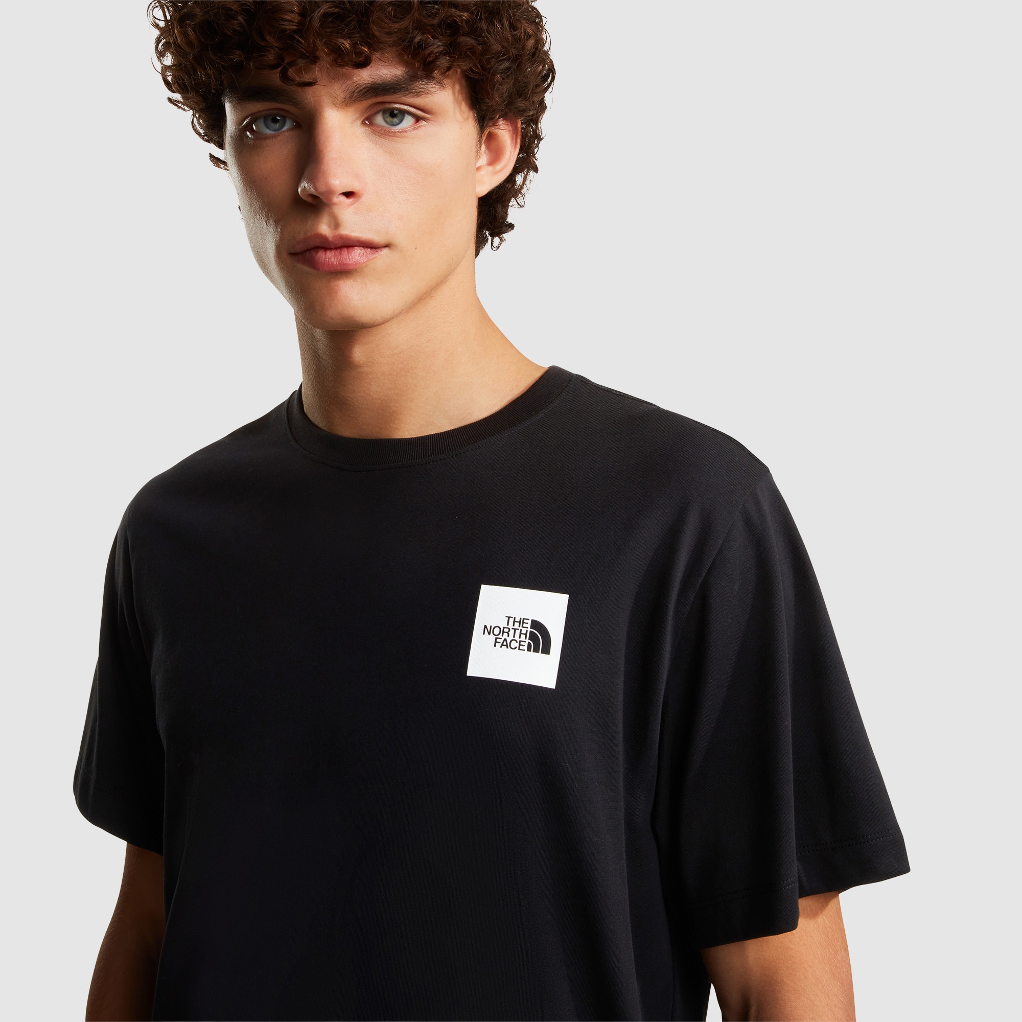 Camiseta recta para hombre Box Half Dome Evolution The North Face Negro ...