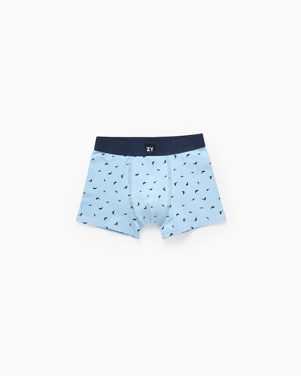 Pack de 4 bóxers de niño liso/estampado · Zippy · El Corte Inglés