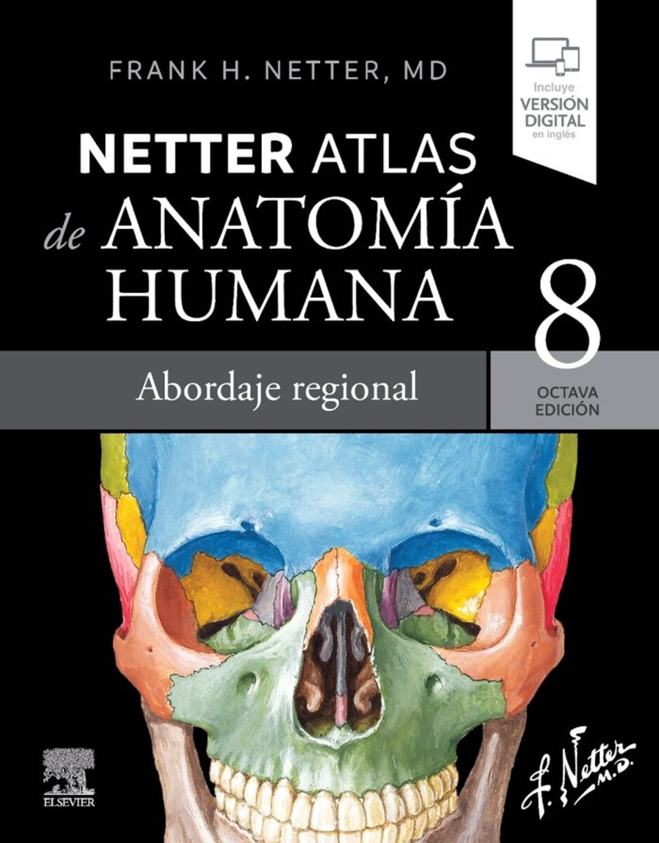 Netter. Atlas de anatomía humana. Abordaje regional (Tapa blanda ...