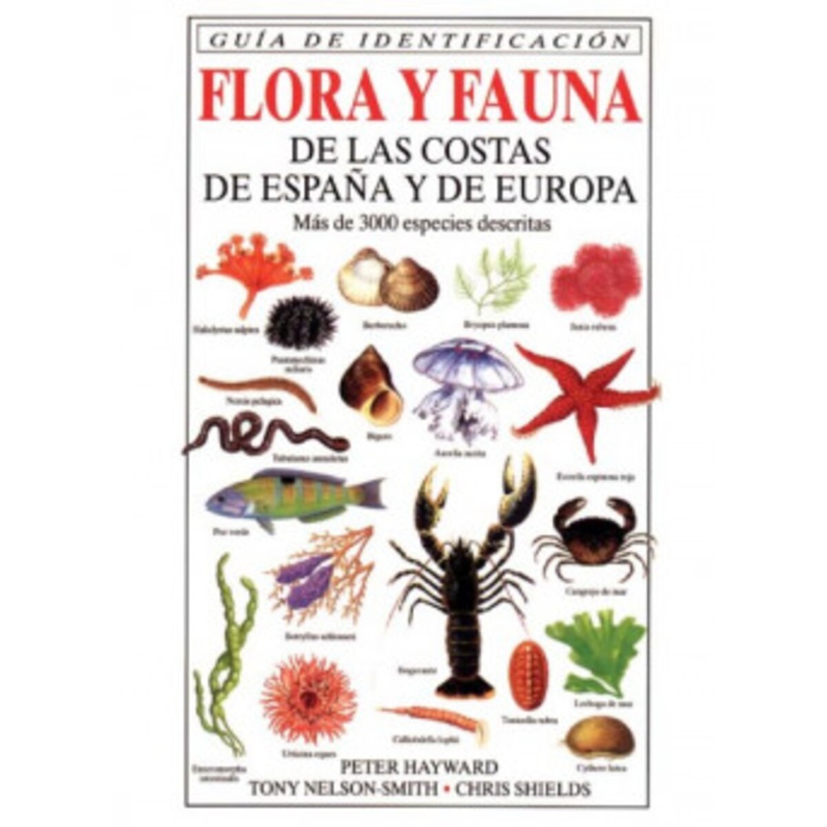 FLORA Y FAUNA COSTAS ESPAÑA Y EUROPA · Varios · El Corte Inglés